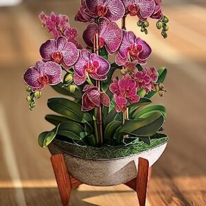 Freshcut Paper Pop Up Cards, Orchid Oasis, 12 Inch Life Sized Forever Flower Bouquet 3D Popup Greeting Cards, Birthday Gift Cards, Gifts for Her with Note Card & Envelope