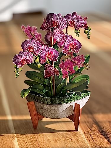 Freshcut Paper Pop Up Cards, Orchid Oasis, 12 Inch Life Sized Forever Flower Bouquet 3D Popup Greeting Cards, Birthday Gift Cards, Gifts for Her with Note Card & Envelope