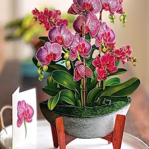 Freshcut Paper Pop Up Cards, Orchid Oasis, 12 Inch Life Sized Forever Flower Bouquet 3D Popup Greeting Cards, Birthday Gift Cards, Gifts for Her with Note Card & Envelope