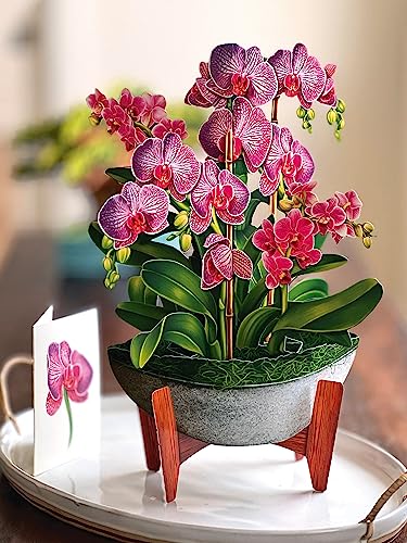 Freshcut Paper Pop Up Cards, Orchid Oasis, 12 Inch Life Sized Forever Flower Bouquet 3D Popup Greeting Cards, Birthday Gift Cards, Gifts for Her with Note Card & Envelope