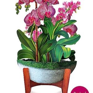 Freshcut Paper Pop Up Cards, Orchid Oasis, 12 Inch Life Sized Forever Flower Bouquet 3D Popup Greeting Cards, Birthday Gift Cards, Gifts for Her with Note Card & Envelope