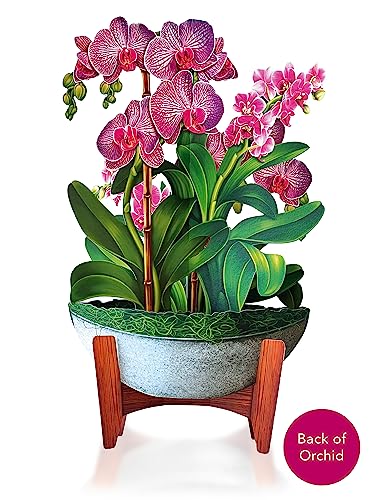 Freshcut Paper Pop Up Cards, Orchid Oasis, 12 Inch Life Sized Forever Flower Bouquet 3D Popup Greeting Cards, Birthday Gift Cards, Gifts for Her with Note Card & Envelope