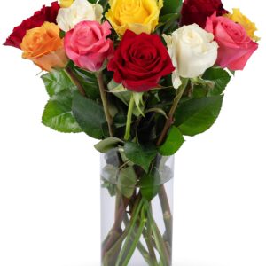 BENCHMARK BOUQUETS - 12 Stem Rainbow Roses (Glass Vase Included), Next-Day Delivery, Gift Fresh Flowers for Birthday, Anniversary, Get Well, Sympathy, Graduation, Congratulations, Thank You