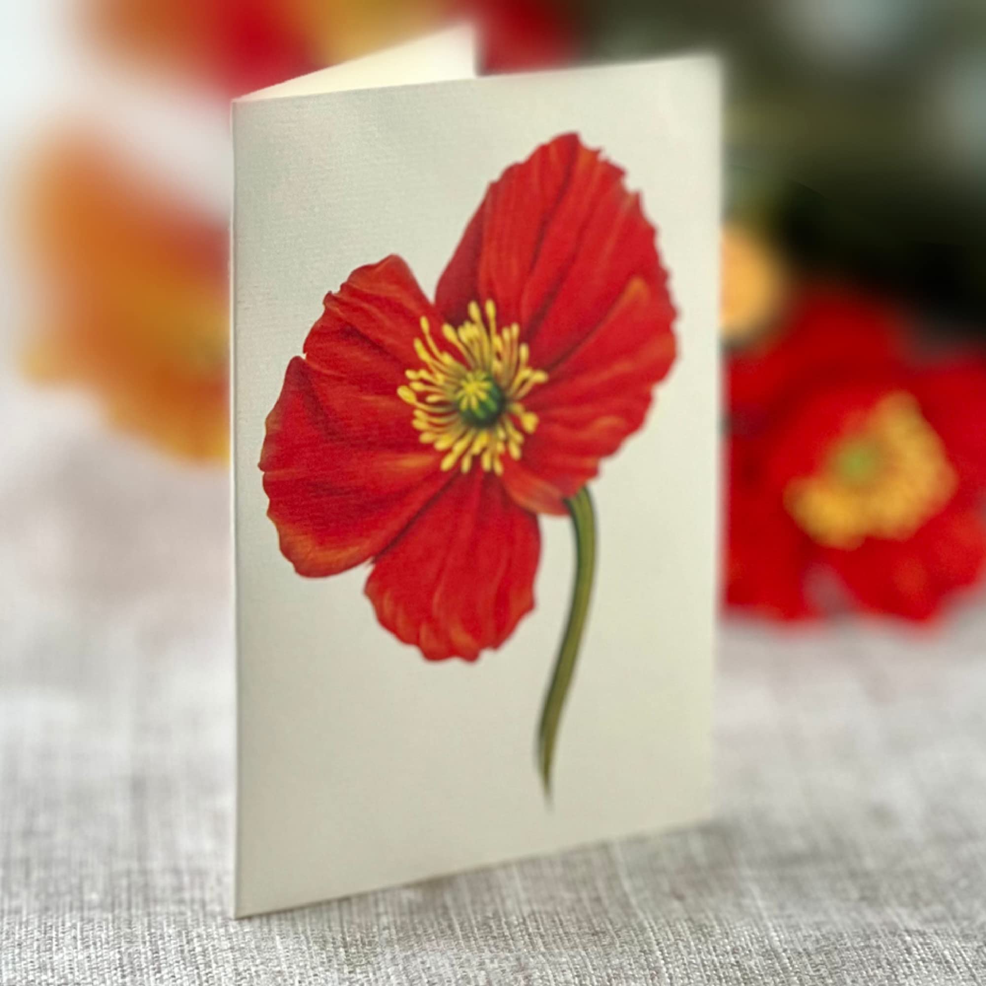 Freshcut Paper Pop Up Cards, Paper Flower Bouquet 3D Popup Greeting Cards with Note Card & Envelope, Birthday Card, Anniversary Card, Get Well Gifts for Women, 12" French Blooms