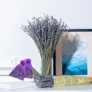 bnecnet dried lavender bundles sachets | 2 bundles of 100 stem & 2 dried lavender sachets | natural dried lavender flowers bouquet for home & wedding party gift decor, photo props