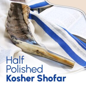 Traditional Shofar from Israel, Jewish Natural Musical Instrument, Clear Sounding Authentic Horn Shofar, Beautiful Sounding Shofar, Natural Half Polished Ram Horn Shofar (10"-12")