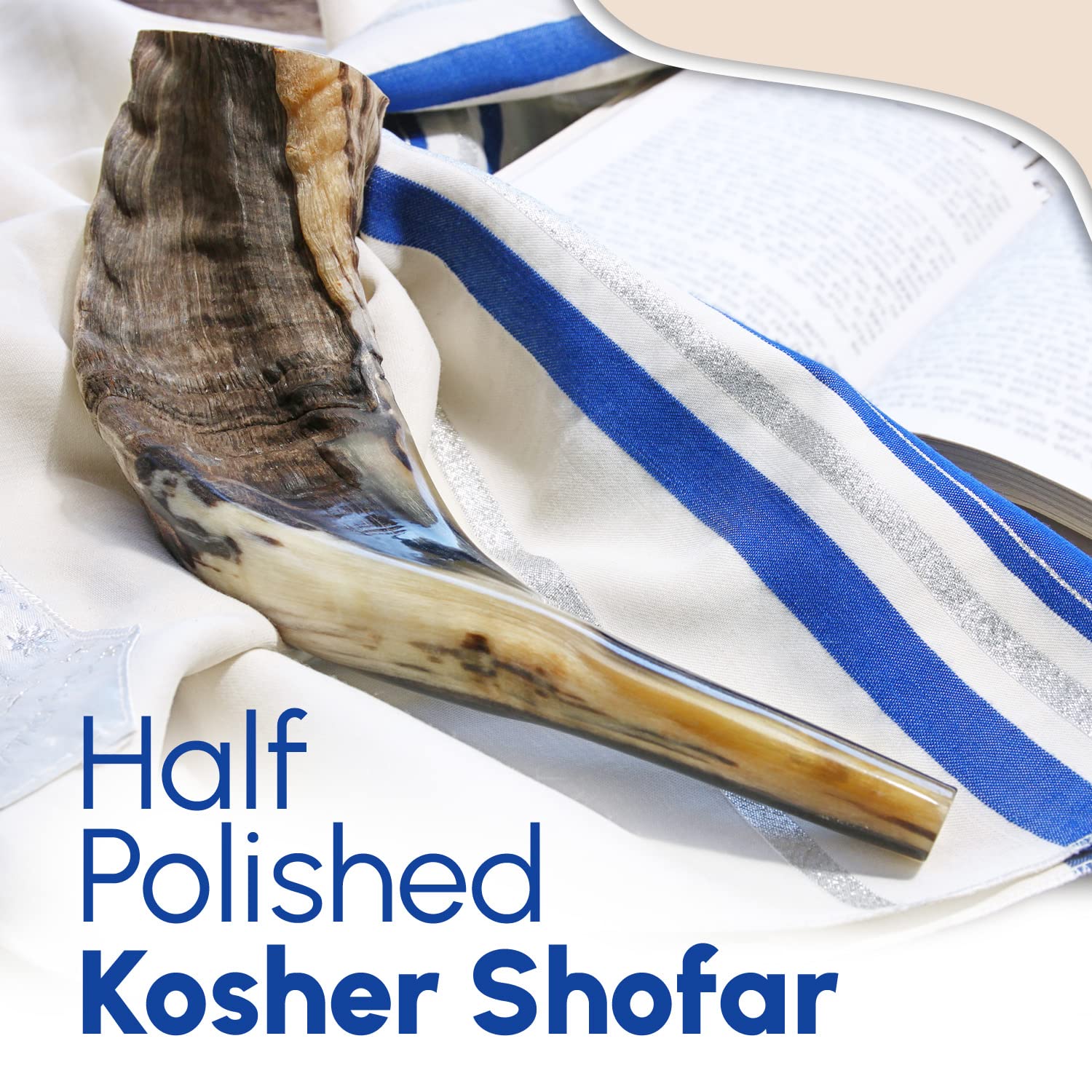 Traditional Shofar from Israel, Jewish Natural Musical Instrument, Clear Sounding Authentic Horn Shofar, Beautiful Sounding Shofar, Natural Half Polished Ram Horn Shofar (10"-12")