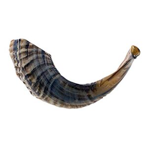 kosher odorless natural shofar | genuine rams horn | smooth mouthpiece for easy blowing | includes velvet like drawstring bag and shofar blowing guide (12”-14”)