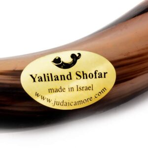 SHOFAR 36-38" Extra Large Yemenite Kudu Horn Full Polished + Anti Odor Spray + Brush + BAG From Israel