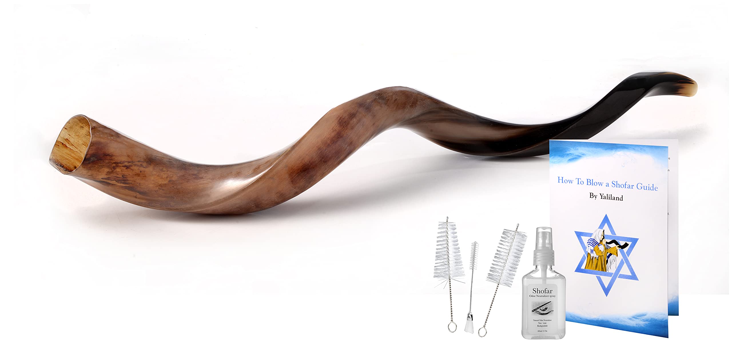 SHOFAR 36-38" Extra Large Yemenite Kudu Horn Full Polished + Anti Odor Spray + Brush + BAG From Israel