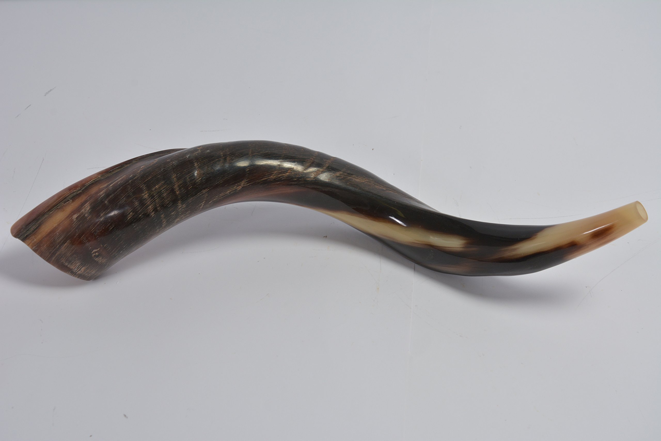 Sale Shofars Kosher Yemenite Kudu Horn Half Polished Shofar Size 20"-24", Includes Shofar Odor Spray and Comprehensive Shofar Blowing Guide From Israel