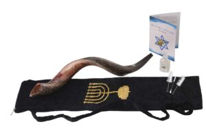 yaliland shofar horn musical instrument - kosher kudu ram horns from israel - includes bag, book guide, anti-odor spray, 3 brushes - use for religious ceremonies - 24"-26", half polished-half natural