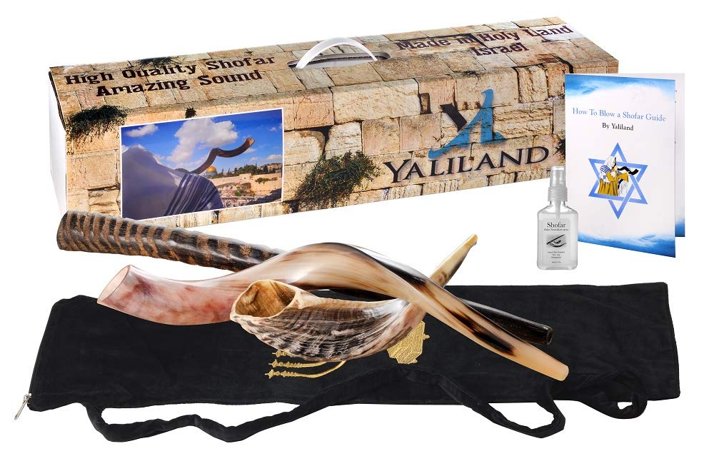 Shofar from Israel Set of 3 Horn : Kudu, Oryx, Ram + Bag + spray + Guide + Carrying case