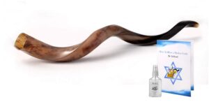 sale 30" large yemenite kudu horn polished shofar shofars with free anti odor spray, guide shofar from israel