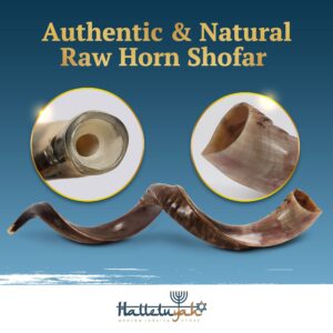 Shofar with"Lion of Judah" Decoration | 925 sterling silver & 9K Gold Plated Kudu Horn Shofar 20"-24" From Israel | Curved Combo Yemenite Shofar Horn – Made in Israel by HalleluYAH Artists