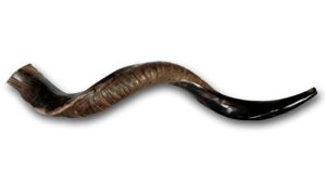 kosher yemenite kudu horn shofar authentic natural hand made in israel (21.7" - 24")