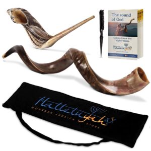 halleluyah yemenite kudu shofar from israel plus free bonus ram horn