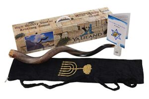 shofar from israel set full polished kudu horn yemenite + bag + spray + guide + carrying box case (28"-30")