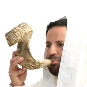 holy voice yemeni shofar horn from israel - yemeni 24"-26" shofar with shofar stand, carrying bag, brush, anti-odor spray – made in israel.