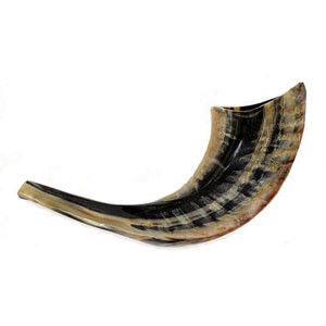 Kosher Shofar Ram's Horn Shofar Medium Size 33-35cm Polished Black / Dark