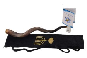 shofar full polished kosher kudu horn 40''-42" + bag + guide + spray by yaliland