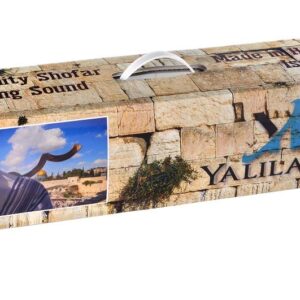 SHOFAR Set FULL Natural Kudu Horn Yemenite + Bag + Guide + Carrying Box Case (26"-28") Ship from Israel