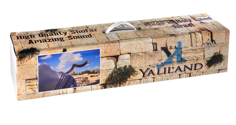 SHOFAR Set FULL Natural Kudu Horn Yemenite + Bag + Guide + Carrying Box Case (26"-28") Ship from Israel