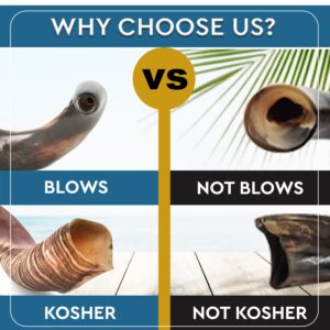 Shofar from Israel | KOSHER by Rabbinate of Jerusalem | Handcrafted | Holy Voice musical instruments | Kudu Shofar | 27-31 inch | Made In Israel By YOMTOV-SHALOM