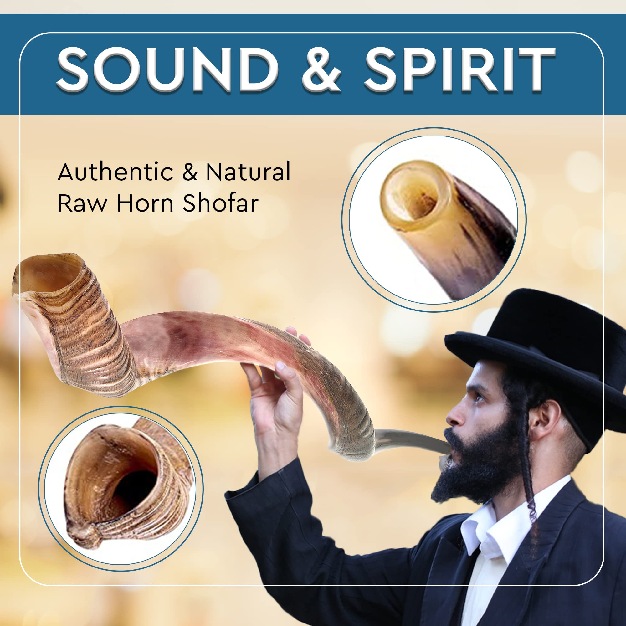 Shofar from Israel | KOSHER by Rabbinate of Jerusalem | Handcrafted | Holy Voice musical instruments | Kudu Shofar | 27-31 inch | Made In Israel By YOMTOV-SHALOM