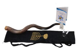 yaliland shofar horn musical instrument - authentic kosher kudu ram horns from israel - includes bag, book guide, 3 brushes - ideal for religious ceremonies - 35"-39", fully polished