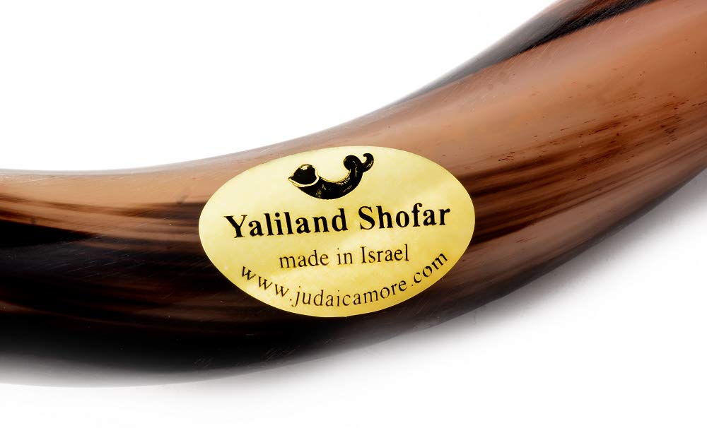 Yaliland Shofar Horn Musical Instrument - Authentic Kosher Kudu Ram Horns from Israel - Includes Bag, Book Guide, 3 Brushes - Ideal for Religious Ceremonies - 35"-39", Fully Polished