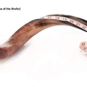 Yaliland Shofar Horn Musical Instrument - Authentic Kosher Kudu Ram Horns from Israel - Includes Bag, Book Guide, 3 Brushes - Ideal for Religious Ceremonies - 35"-39", Fully Polished