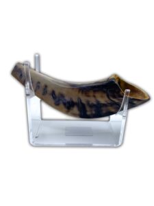 real shofar small (no hechsher) perfect for kids that want the a real shofar. (2 shofars on box)