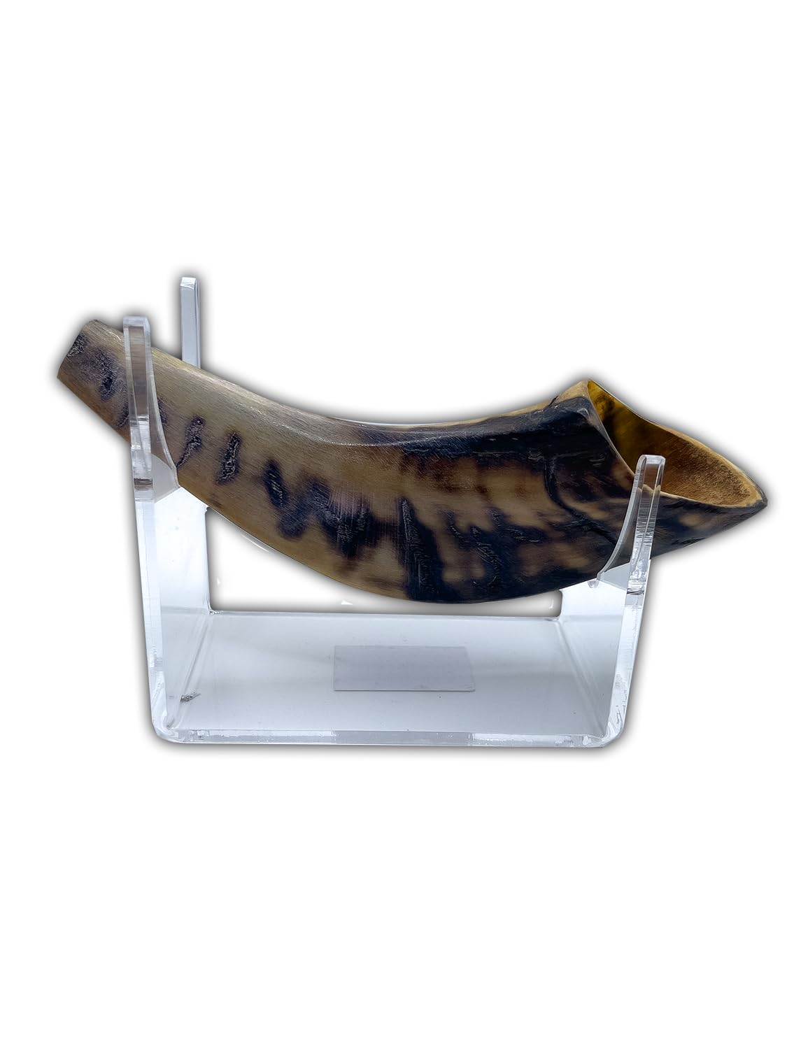 Real shofar small (No Hechsher) Perfect for kids that want the a real shofar. (2 SHOFARS ON BOX)