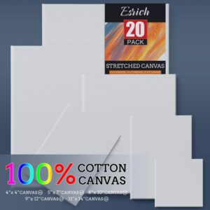 Stretched Canvas for Painting, Multi Size 11x14, 9x12, 8x10, 5x7, 4x4(4 of Each), 20 Packs Primed Blank Canvases, Very Good for Beginners or Professionals.