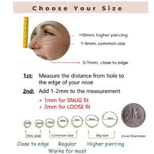 Double Nose Ring Hoop for Single Piercing, 14k Gold Filled or Sterling Silver Spiral Twist Nose Hoop for Women Girls (Silver -20g, Left Side-8mm)