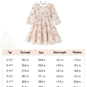 Hipea Toddler Girl Dress Long Sleeve Floral Dress Up Casual Round Neck Back Tie Ruffles Little Girls Fall Dresses 3-4T