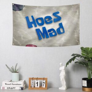 WSINO Hoes Mad Flag 3x5Ft Funny Meme Tapestry for College Dorm Room Guys Man Cave Frat Bedroom Art Deco