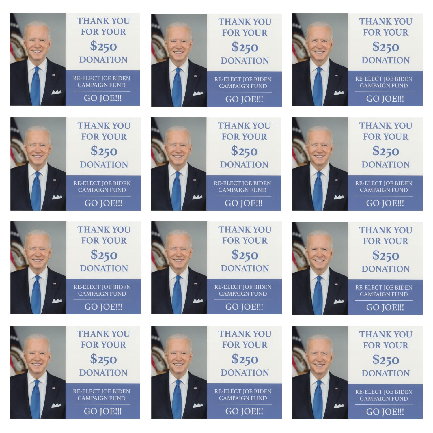 Crazy Novelty Guy (12-Pack) Bulk Prank Postcards - Joe Biden Re-Election Campaign Fund - Pranks Practical Jokes Gags Revenge Hate Mail - Send Them To Your Victim Yourself