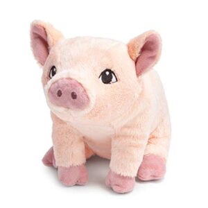 Compendium Flying Pig Plush A Cute Stuffed Animal Companion to The Book Maybe 5″W x 6. 5″H x 9. 25″D