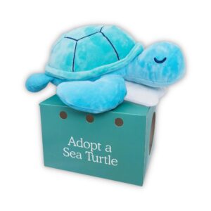 follow your legend sam the sea turtle plush with pillow accessory - 10" adopt me plushies, stuffed turtle, sea turtle stuffed animal, small turtle plush