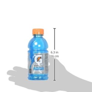 Gatorade Thirst Quencher, Fruit Punch and Cool Blue Variety Pack, 12 Ounce (Pack of 24)