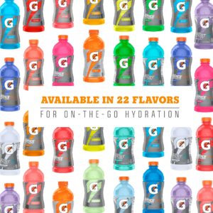 Gatorade Thirst Quencher, Fruit Punch and Cool Blue Variety Pack, 12 Ounce (Pack of 24)