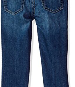 The Children's Place Baby Girls And Toddler Girls Basic Skinny Jeans,Blues Wash Single,4T