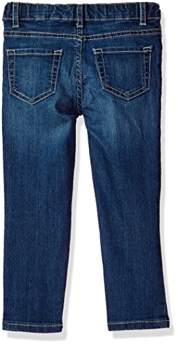 The Children's Place Baby Girls And Toddler Girls Basic Skinny Jeans,Blues Wash Single,4T