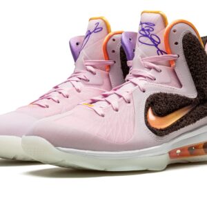 Nike Lebron IX Regal Pink/Multicolor/Velvet Brown 7 D (M)