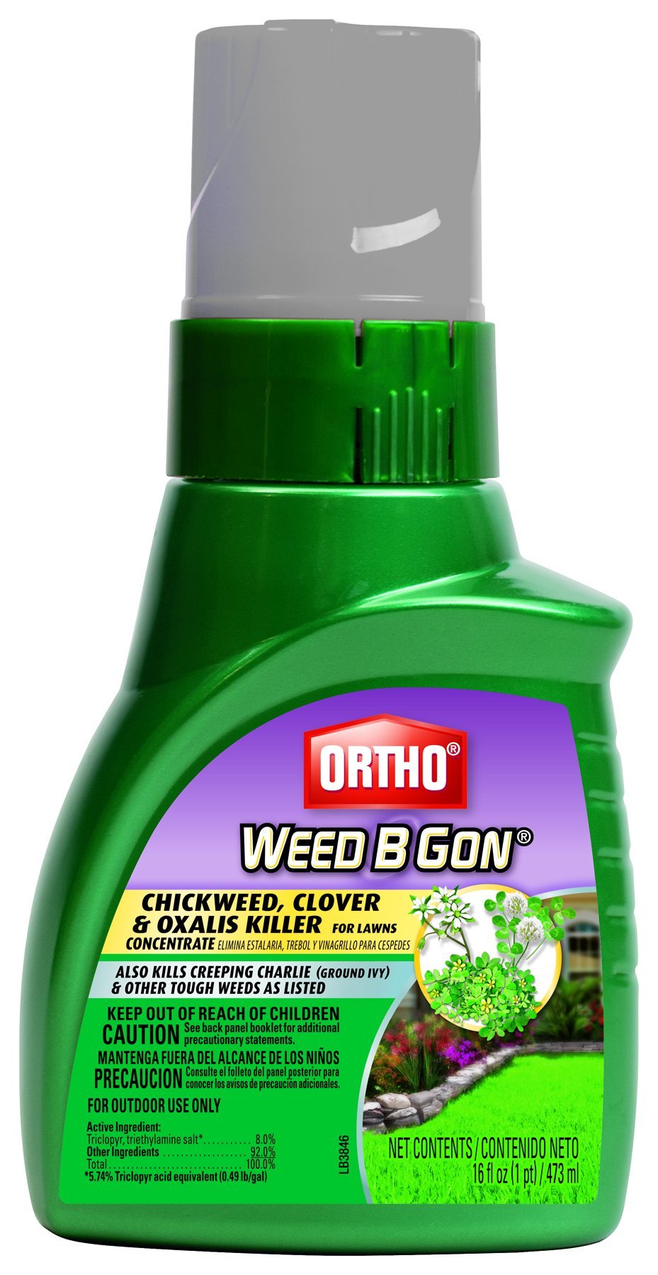 Ortho Weed B Gon Chickweed Concentrate Clover & Oxalis Killer for Lawn (Case of 6), 16 oz