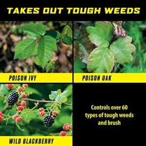 Ortho GroundClear Poison Ivy & Tough Brush Killer2 - Weed Killer Concentrate, 32 fl. oz.