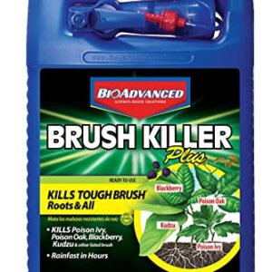 BioAdvanced Brush Killer Plus, Ready-to-Use, 1 Gal – Kills Tough Brush Roots & All, Kills Poison Ivy