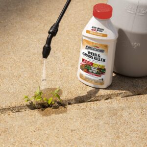 Spectracide Weed And Grass Killer Concentrate 16 Ounces, Use On Patios, Walkways And Driveways